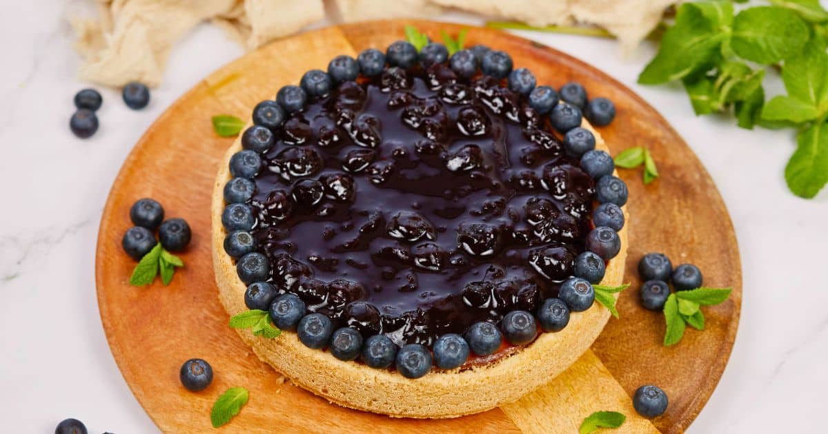 Vegan Cashew Cheesecake with Blueberry Topping